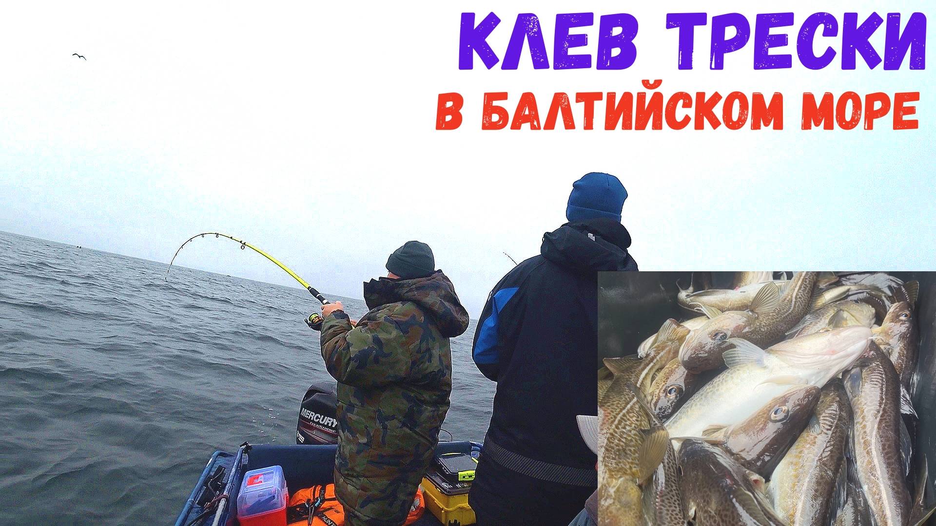 ПАЛКА В ДУГУ НА КАЖДОМ ЗАБРОСЕ! Рыбалка на спиннинг в море март 2025 ...
