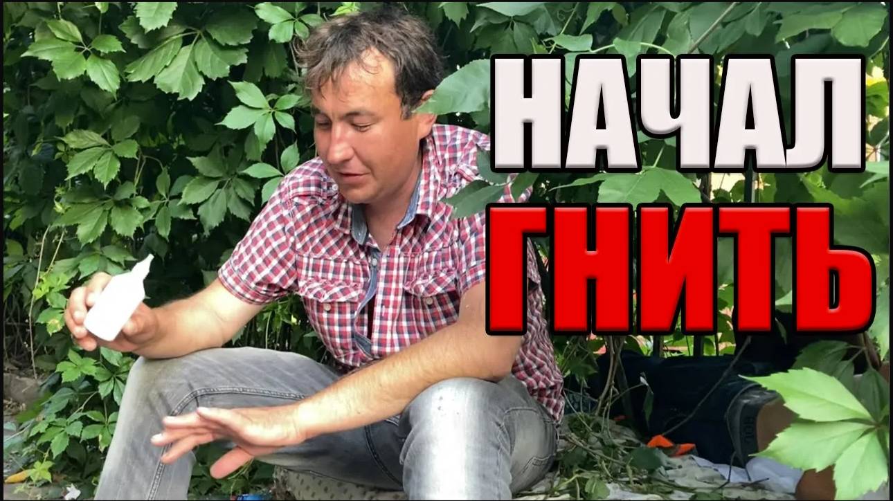 РадиоБашка ГHNEТ ЗАЖИВ0  / Нужно 0тходить / Чем лечат Б0МЖЕЙ