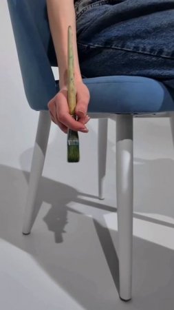 ⭐️ Творчество — это свобода, тем не менее иногда оно требует уюта.