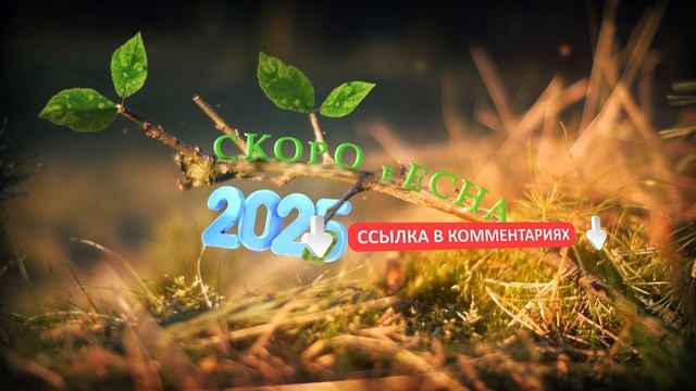 Скоро весна - футажи, заставки - 2025