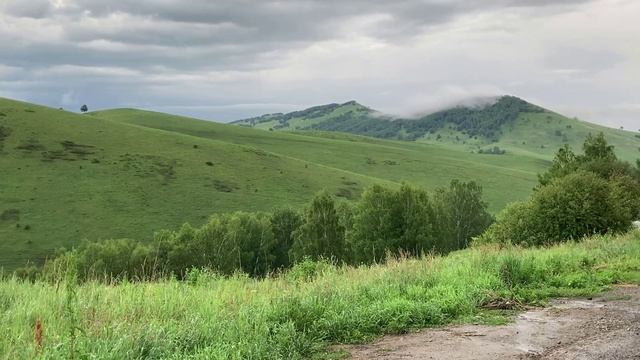 Алтай. Путешествие с собакой