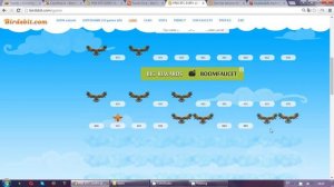 birds fauget2