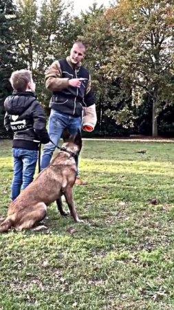 Malinois