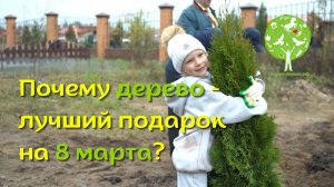 Почему дерево – это лучший подарок для девушки? #подаридерево