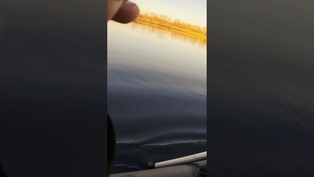 Мечта любого рыбака