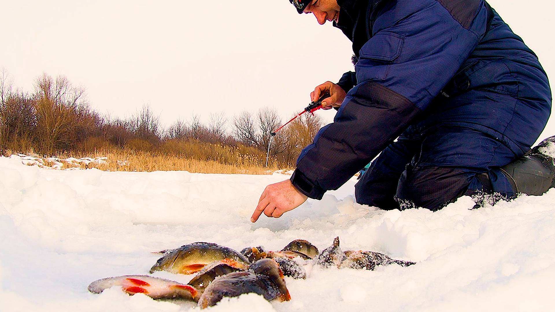 НАШЕЛ ТУ САМУЮ ЛУНКУ! Окунь на балансир и безмотылку! Рыбалка на жерлицы!