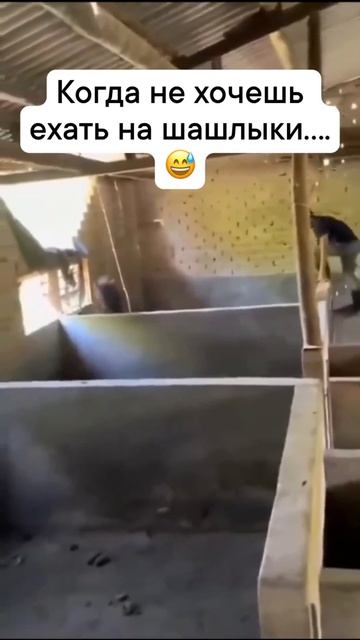 На шашлык не хочет 🤣🤣🤣
