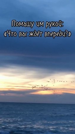 Улетают на юг перелётные птицы, унося наше лето в край дальний с собой…#осень2022 #скоролето