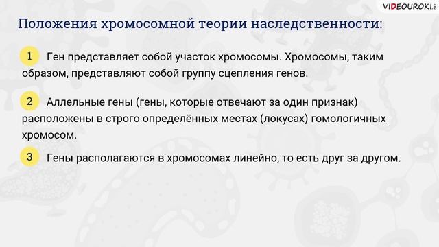 25. Сцепленное наследование. Закон Моргана. Генетика пола