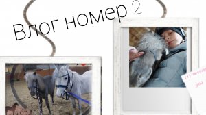 ﹤ Влог номер 2﹥ кск Урожай ♡♡
