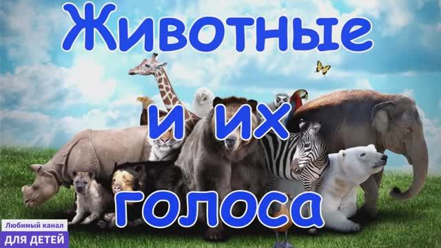 Мультики для детей - Мультики про животных - Изучаем животных (17) Животные и их голоса