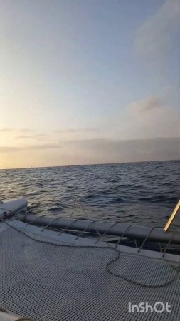 Trust in the Rolling #ocean #sailing #kenya