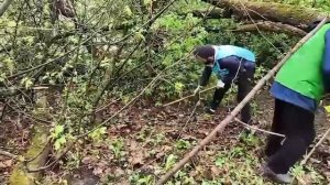Участие во Всероссийском субботнике