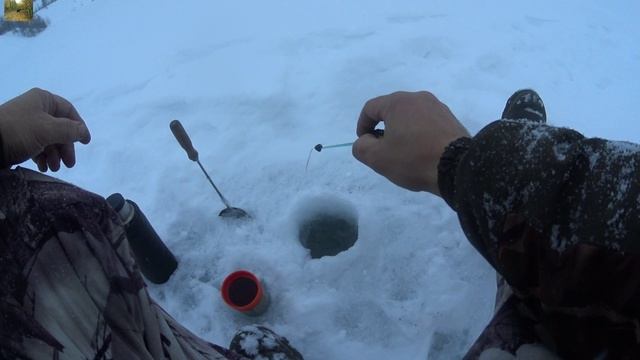 В феврале бывает всякое.