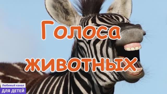 Мультики для детей - Мультики про животных - Изучаем животных (16) Голоса животных