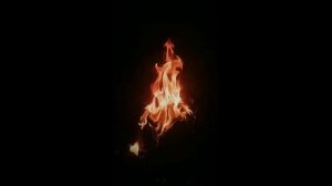 Listen every day. Wonderful relaxing music for the brain on the background of a bonfire