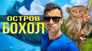 Остров Бохол, Филиппины. Куда поехать и что посмотреть?