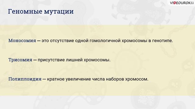 28. Мутагены и мутации. Влияние мутагенов на генофонд