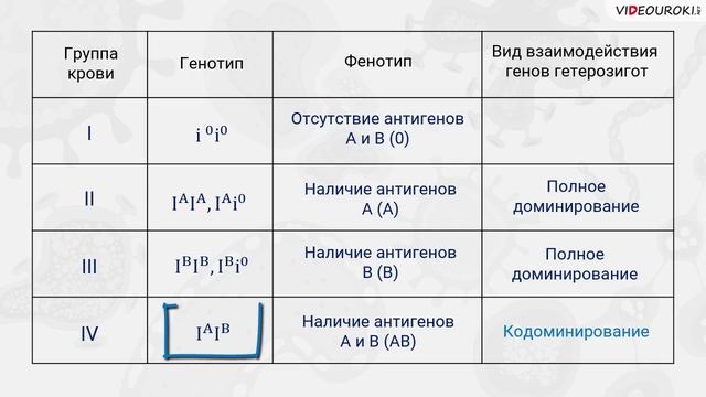 26. Группы взаимодействия генов