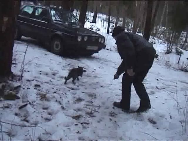 Жили были мы. В лесу с  Васькой.
