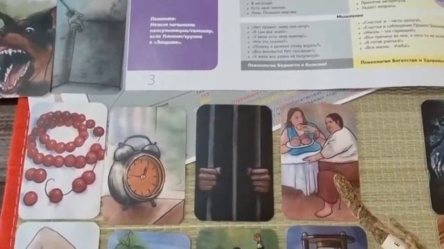МАК практика "Защита - обучение". О механизме пси защиты. Ирина Орда