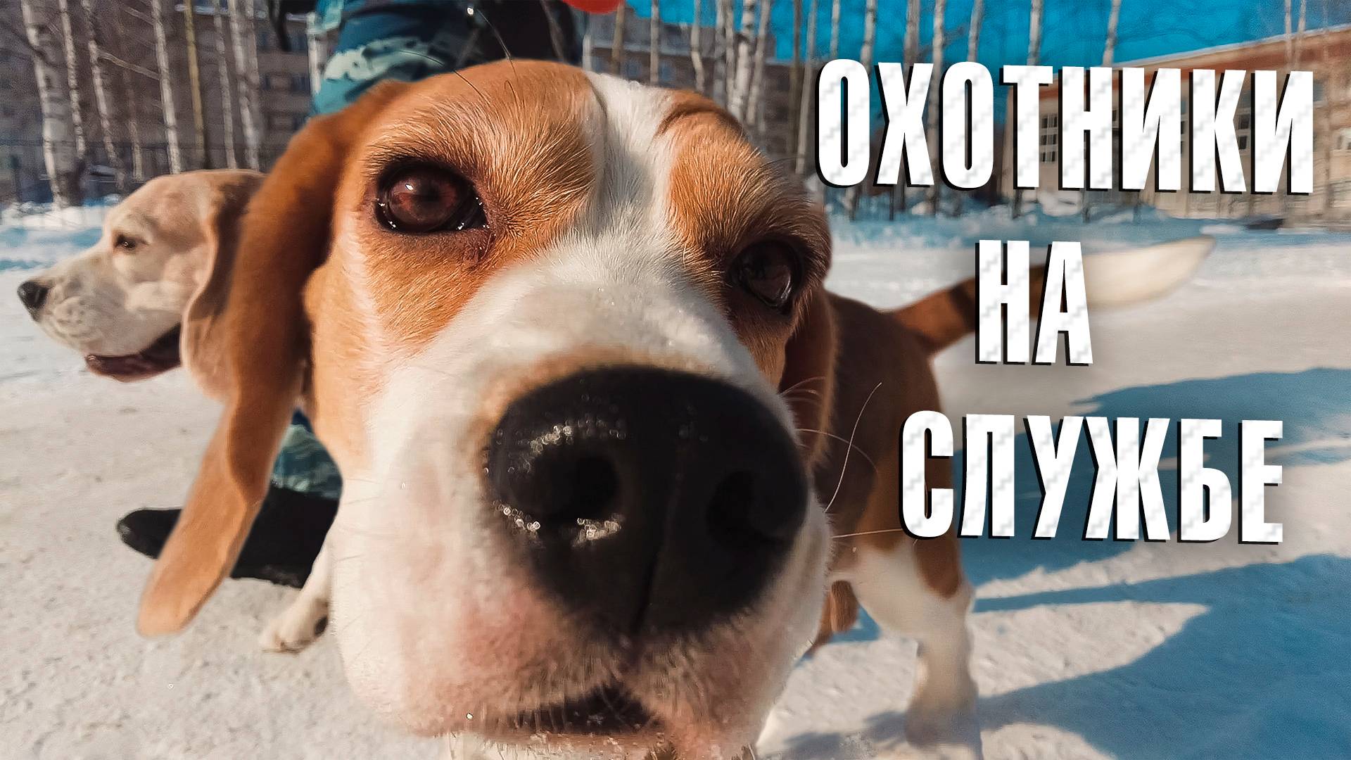 Вызов 02  Охотники на службе