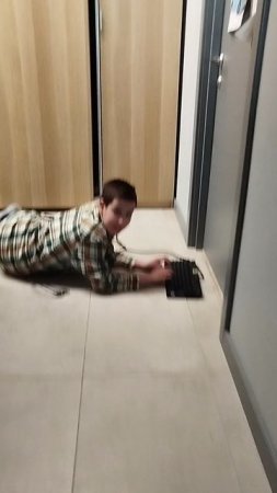 тапер обыкновенный