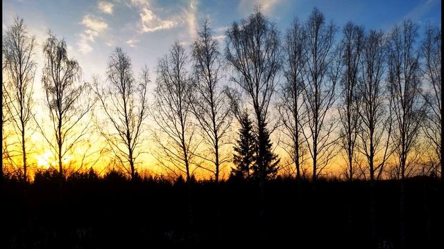 М  Цветаева  Книги в красном переплёте #стихиодетстве #поэтысеребряноговека