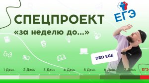 💪 Как подготовиться за неделю к ЕГЭ по Обществознанию?