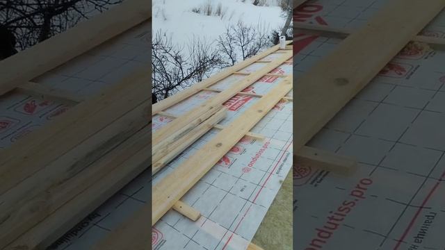 Дачный домик 3х8м