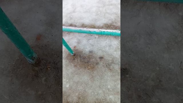 VID_20250307_125347.mp4