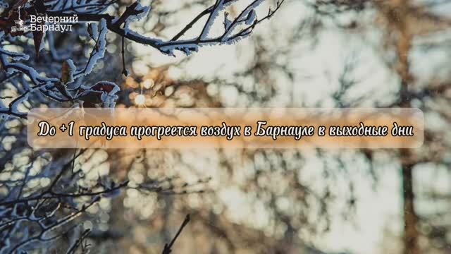 До +1 градуса прогреется воздух в Барнауле в выходные дни