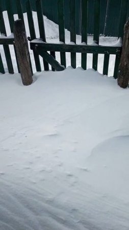 Февральские метели