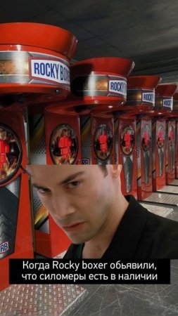 Наконец-то Rocky boxer есть в наличии!