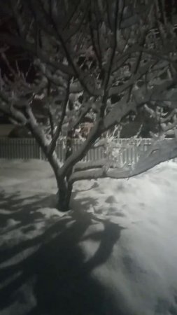 Первый день зимы.