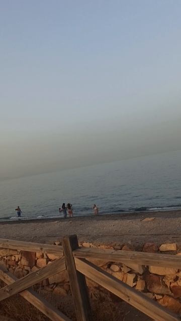 Туда-сюда весь день шастИЮТЬ))) Белые кораблики