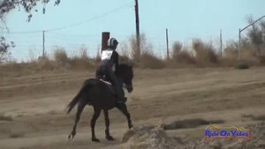 170XC Emilie Christian on Calypso Open Beginner Novice Cross Country FCHP October 2015