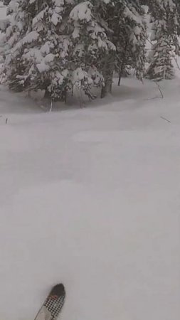 Real Siberian Freeride POV! Deep snow in heart of Siberian Forest! off piste Forest Skiing