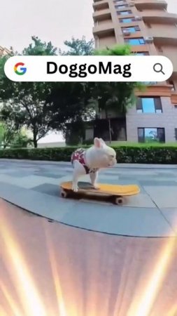Let's explore the world😍. #skateboarding