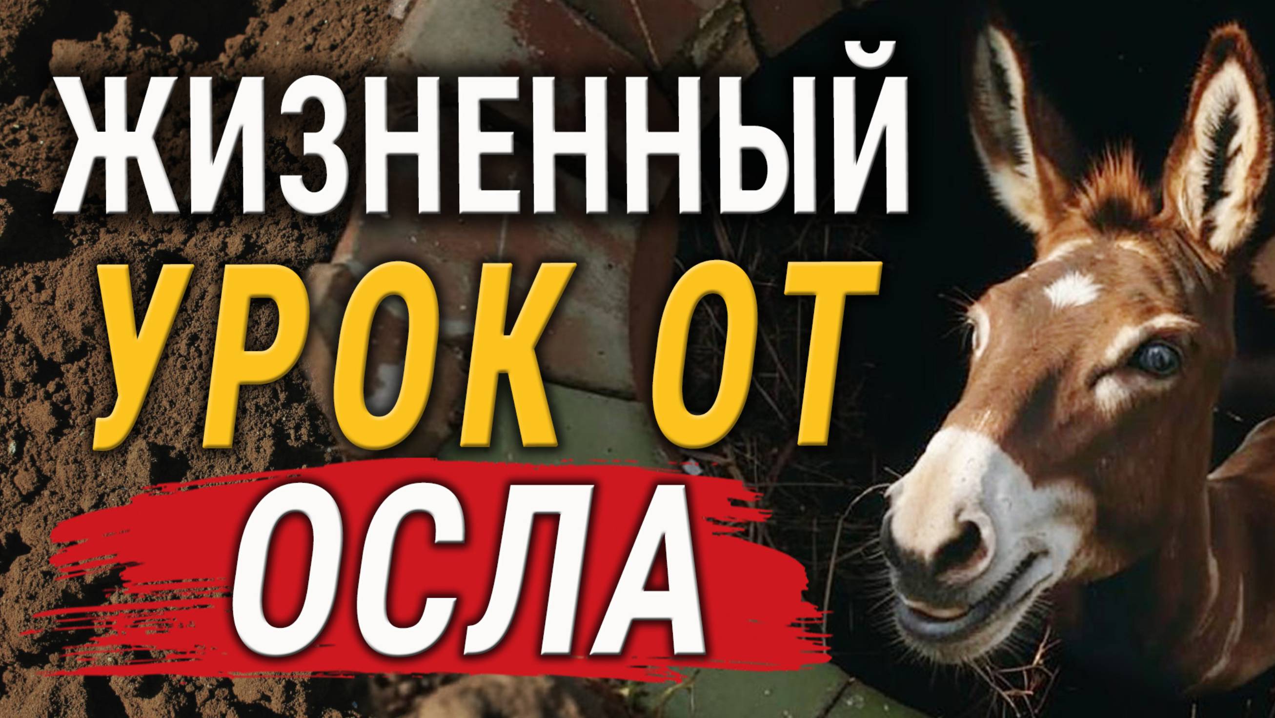 Невероятная История Выживания В Глубоком Колодце