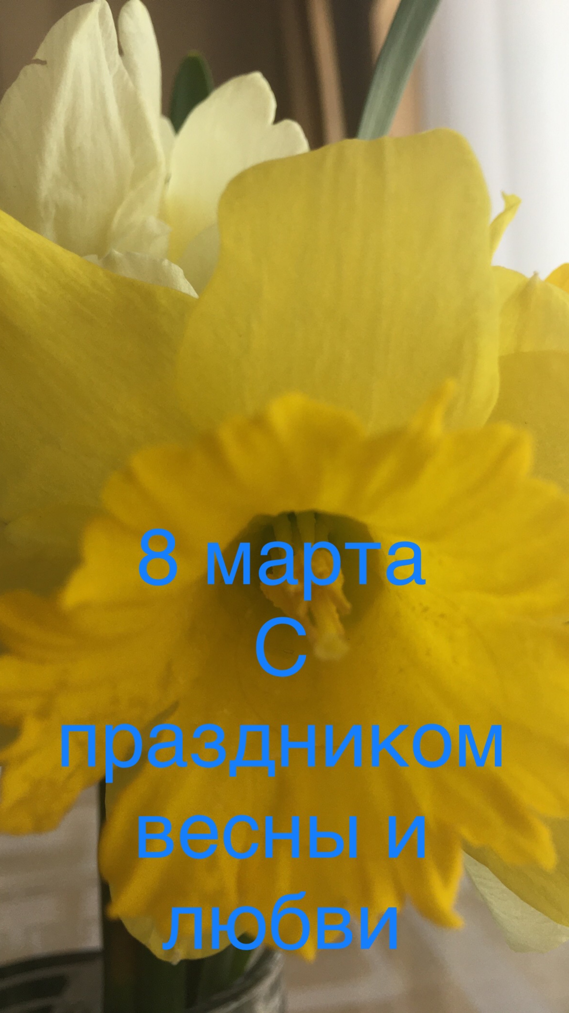 8 МАРТРА! С праздником!🌺