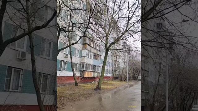 Moscow, Bibirevo district 06.03.2025