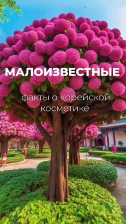 Корейская косметика, факты о которых не говорят   #корейскаякосметика #факты #интересно #косметика