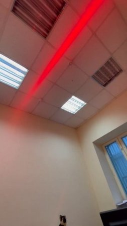 Маркерный фонарь безопасности LOYO SLIMLINE RED красная линия для погрузчиков