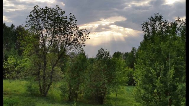 Ф  Тютчев  Весенняя гроза  #стихиовесне #поэты19века