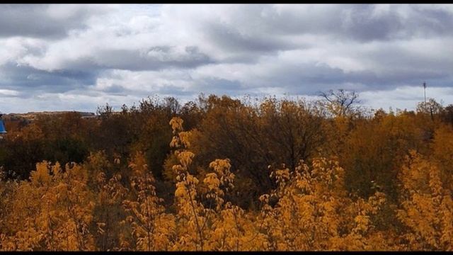 И Бунин   Одиночество #стихиолюбви#поэзияСеребряноговека