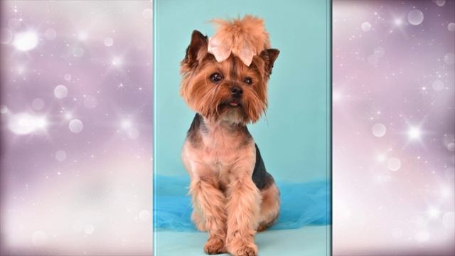 Видеооткрытка Счастливой весны.mp4