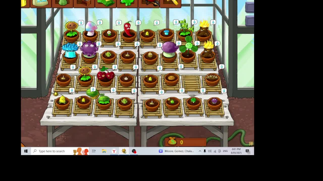 Plants Vs Zombies