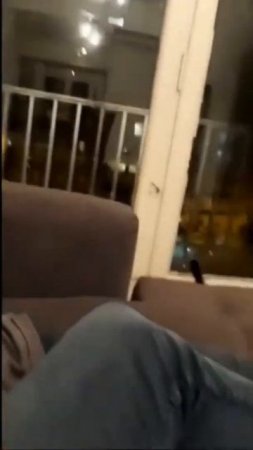 #1  Cats tries to start a fight