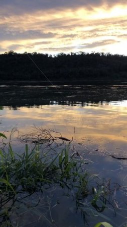 CHEIA DO RIO - PARANÁ
